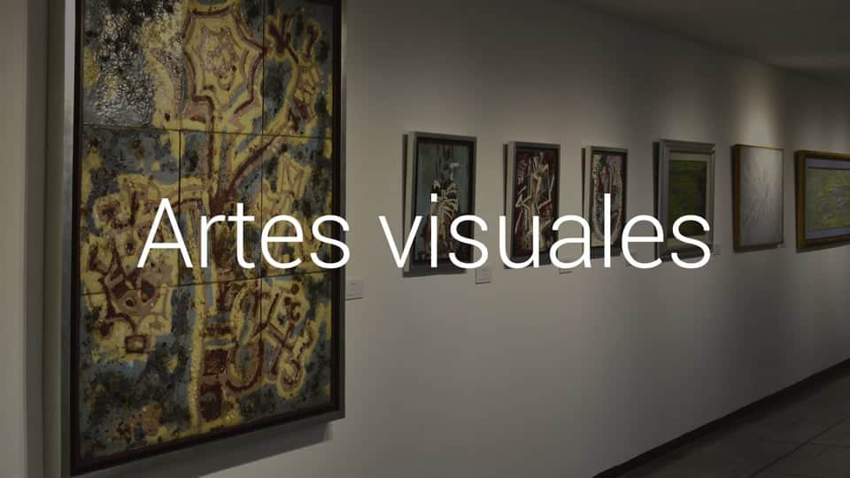 Disciplina - Artes visuales | Interfaz